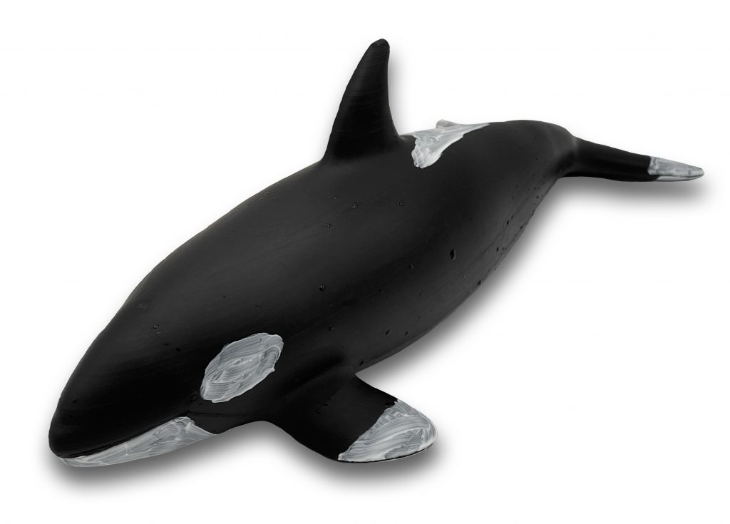 Orca